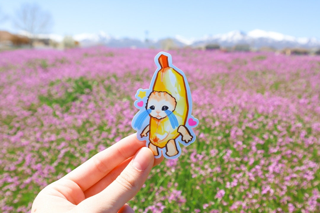 Crying Banana Cat Kawaii Tiktok Sticker - Etsy