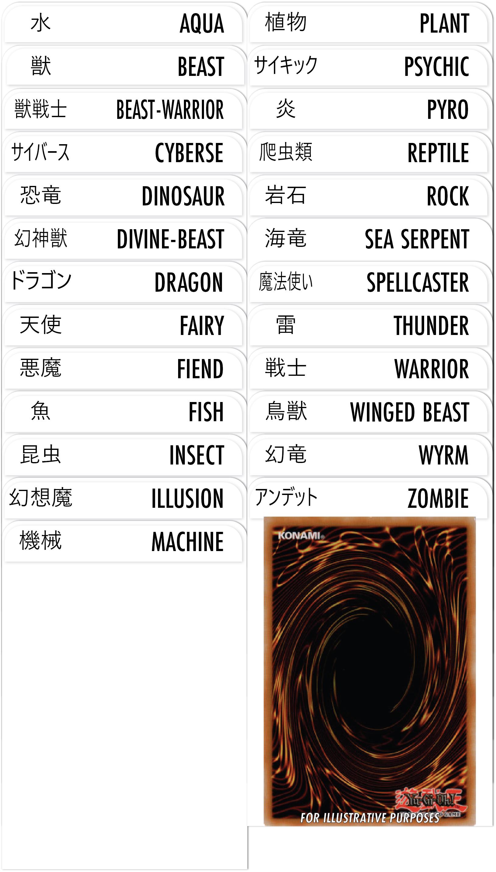 Sort Yu Gi Oh! by Monster Types | Trading Card Dividers W/ FREE Labels ...