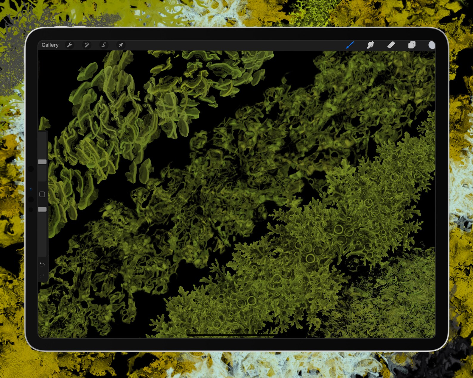 25 Procreate Brushes 3 Color Palettes Moss Lichens Nature Plant Brush ...