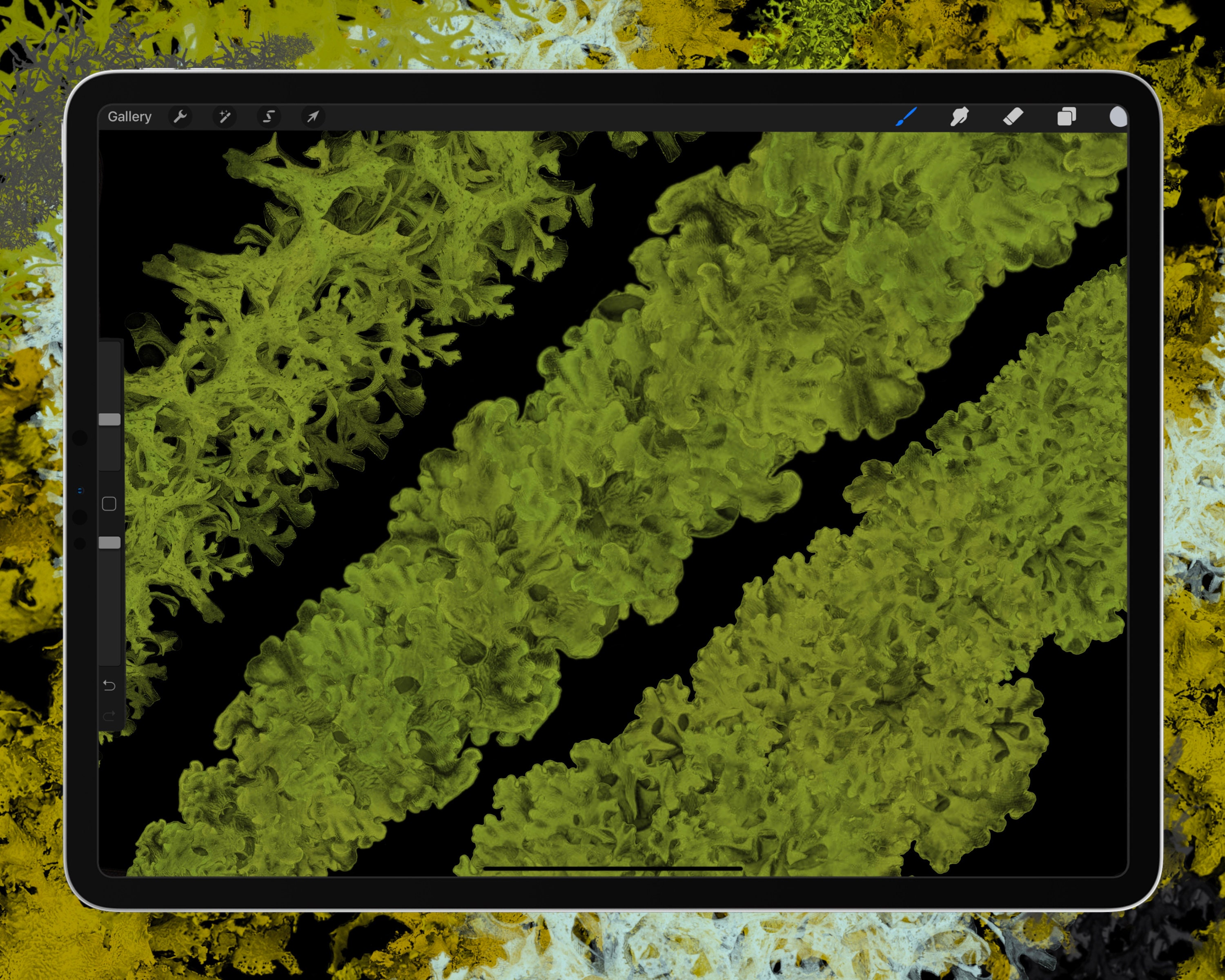 25 Procreate Brushes 3 Color Palettes Moss Lichens Nature Plant Brush ...