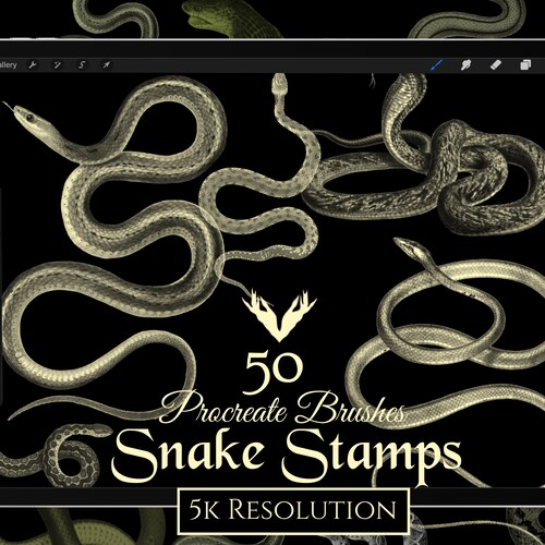 For Da Streetz Procreate Tattoo Brushes | Etsy