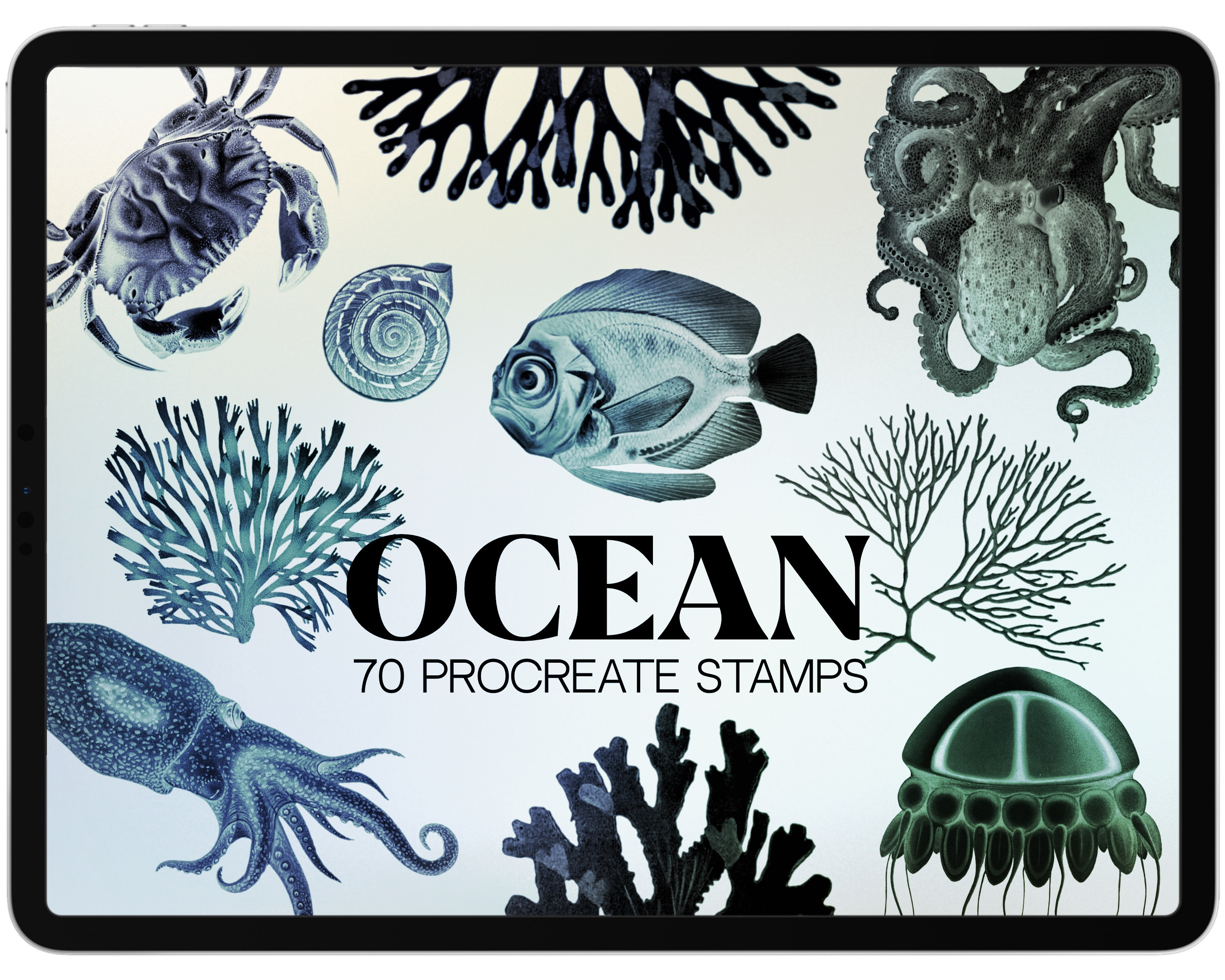 70 Ocean Procreate Stamp Brushes / Sea Nautical Plants Coral Seaweed ...