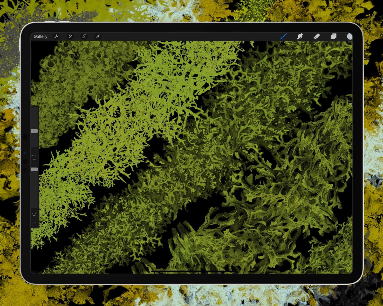 25 Procreate Brushes 3 Color Palettes Moss Lichens Nature Plant Brush ...