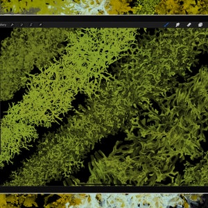 25 Procreate Brushes 3 Color Palettes Moss Lichens Nature Plant Brush ...