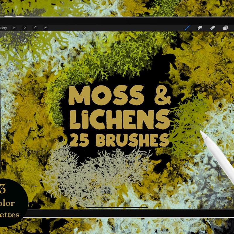 Moss Art With Fungi - Etsy