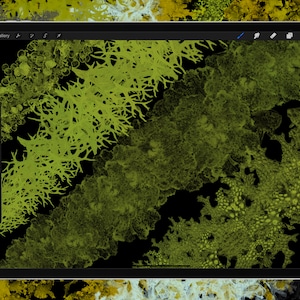 25 Procreate Brushes 3 Color Palettes Moss Lichens Nature Plant Brush ...