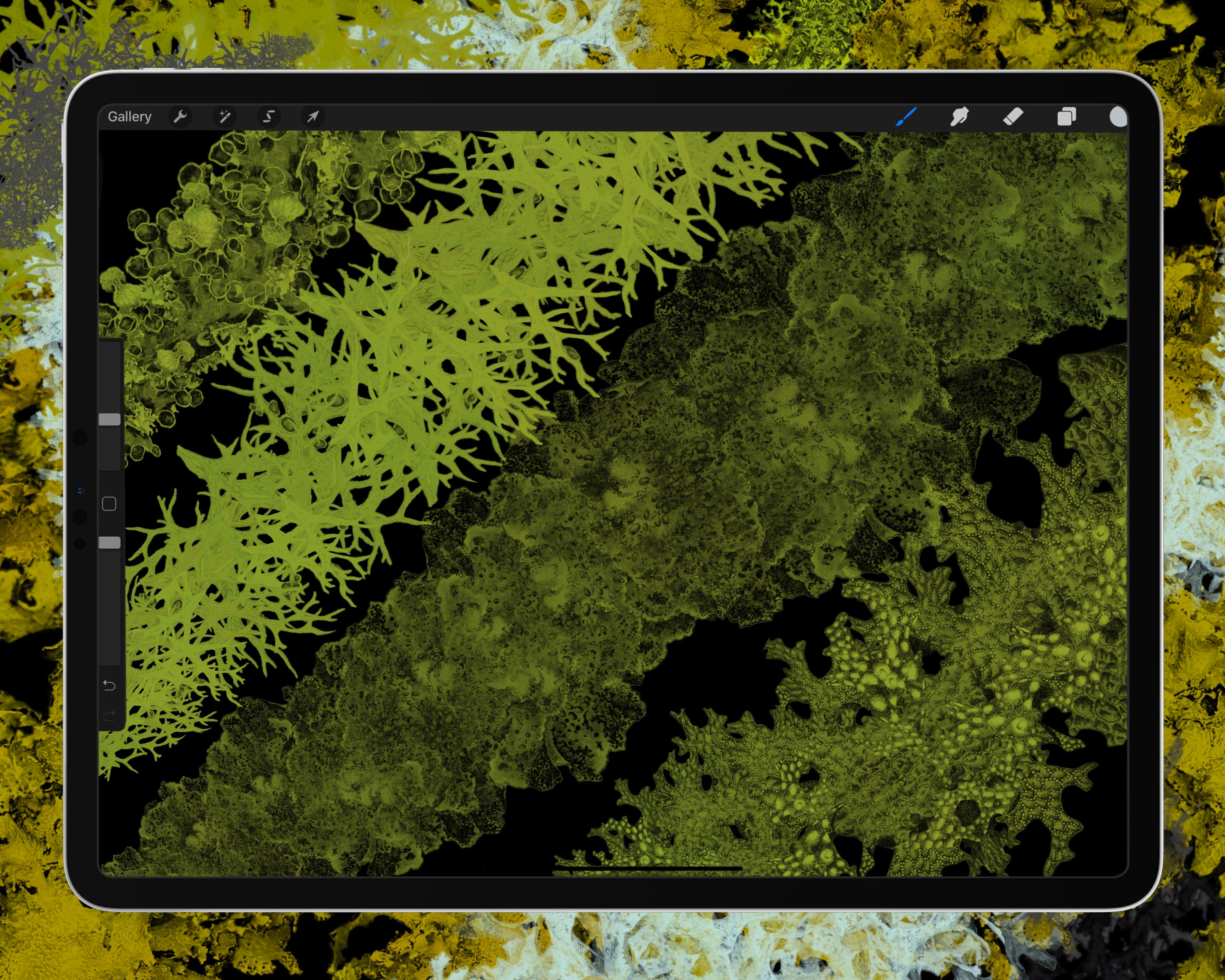 25 Procreate Brushes 3 Color Palettes Moss Lichens Nature Plant Brush ...