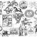 60 MYTH Procreate Stamp Brushes / Mythology Medieval Dragons Gods Greek ...