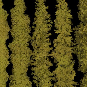 30 Procreate Brushes Bonus Color Palette Green Moss Lichens Nature ...