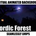 ANIMATED VIRTUAL BACKGROUND Swamp at Night Instant Digital Download - Etsy