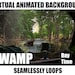 ANIMATED VIRTUAL BACKGROUND | Sunny Swamp | Instant Digital Download - Etsy