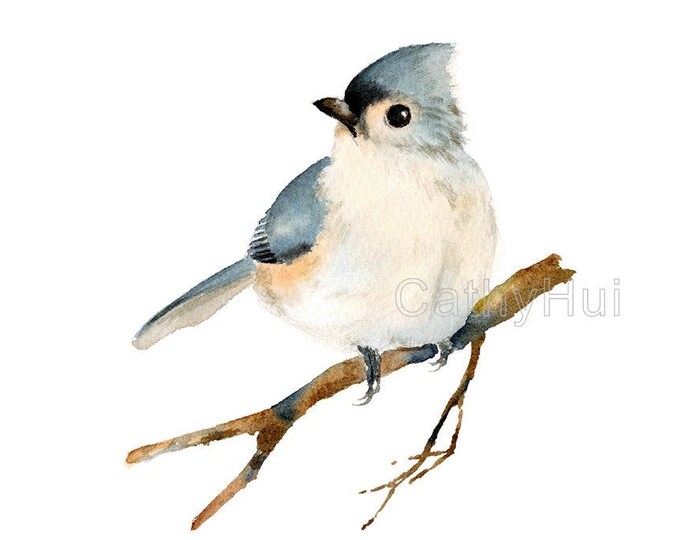 Tufted Titmouse Digital Download Baeolophus Bicolor North American Bird ...