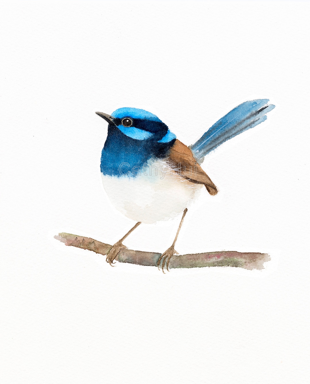 Superb Fairy Wren Watercolor Painting Art Print, Blue Fairy-wren Bird ...