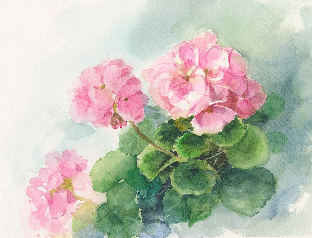 Instant Download -geranium Art Print, Printable Botanical Watercolor ...