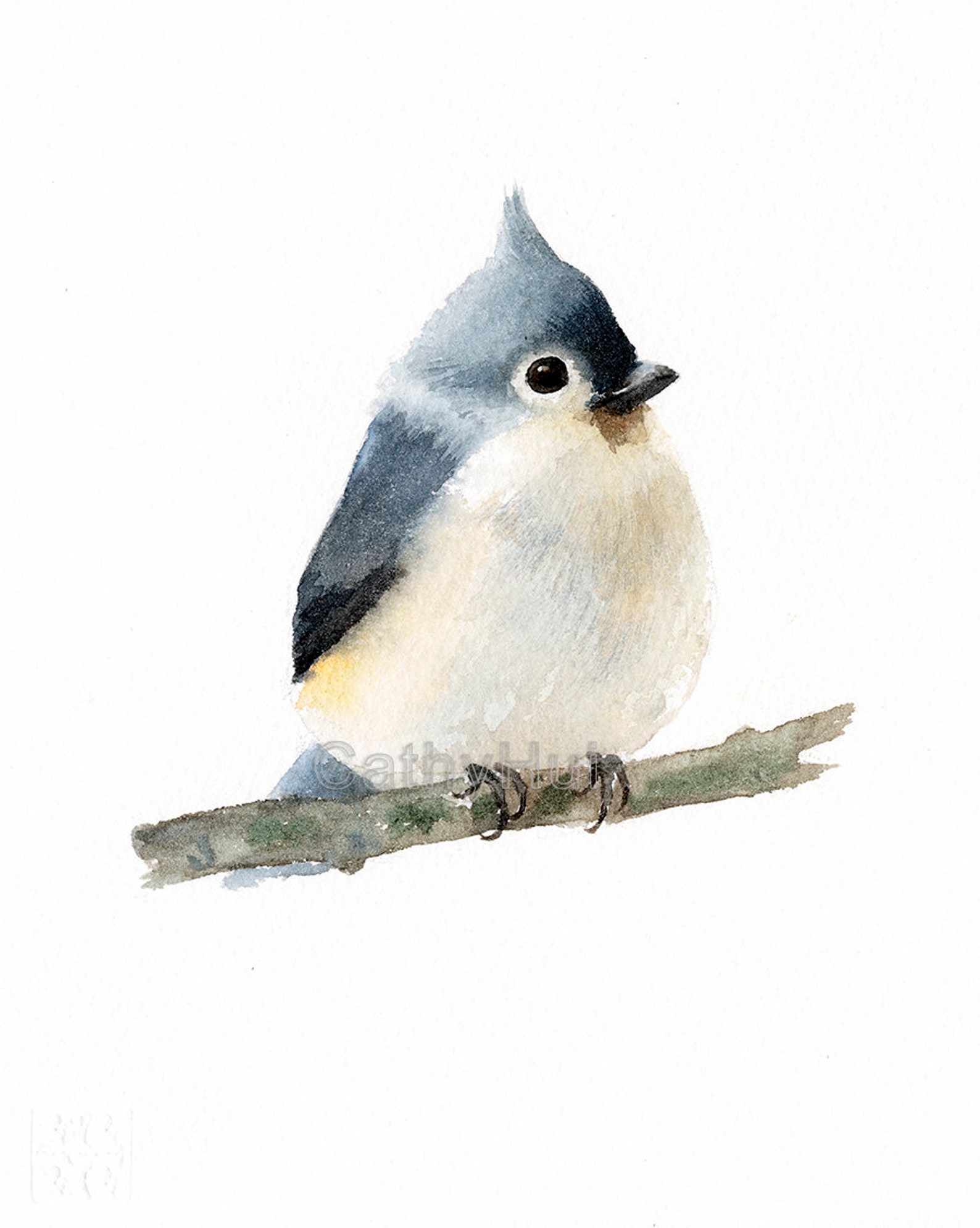 Digitial Print tufted Titmouse Watercolor Painting Art Print | Etsy