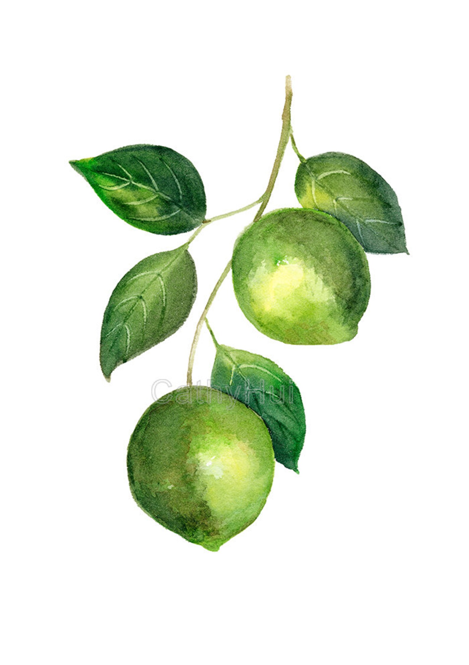 Set of 2 Lime Watercolor Painting Digital Prints, Printable Art Prints ...