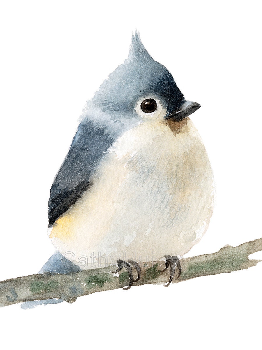 Digitial Print -tufted Titmouse Watercolor Painting Art Print, Bird ...