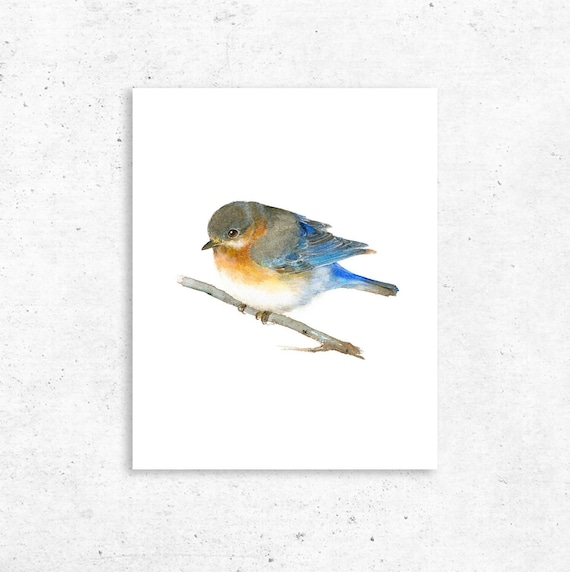Baby Blue Bird Painting