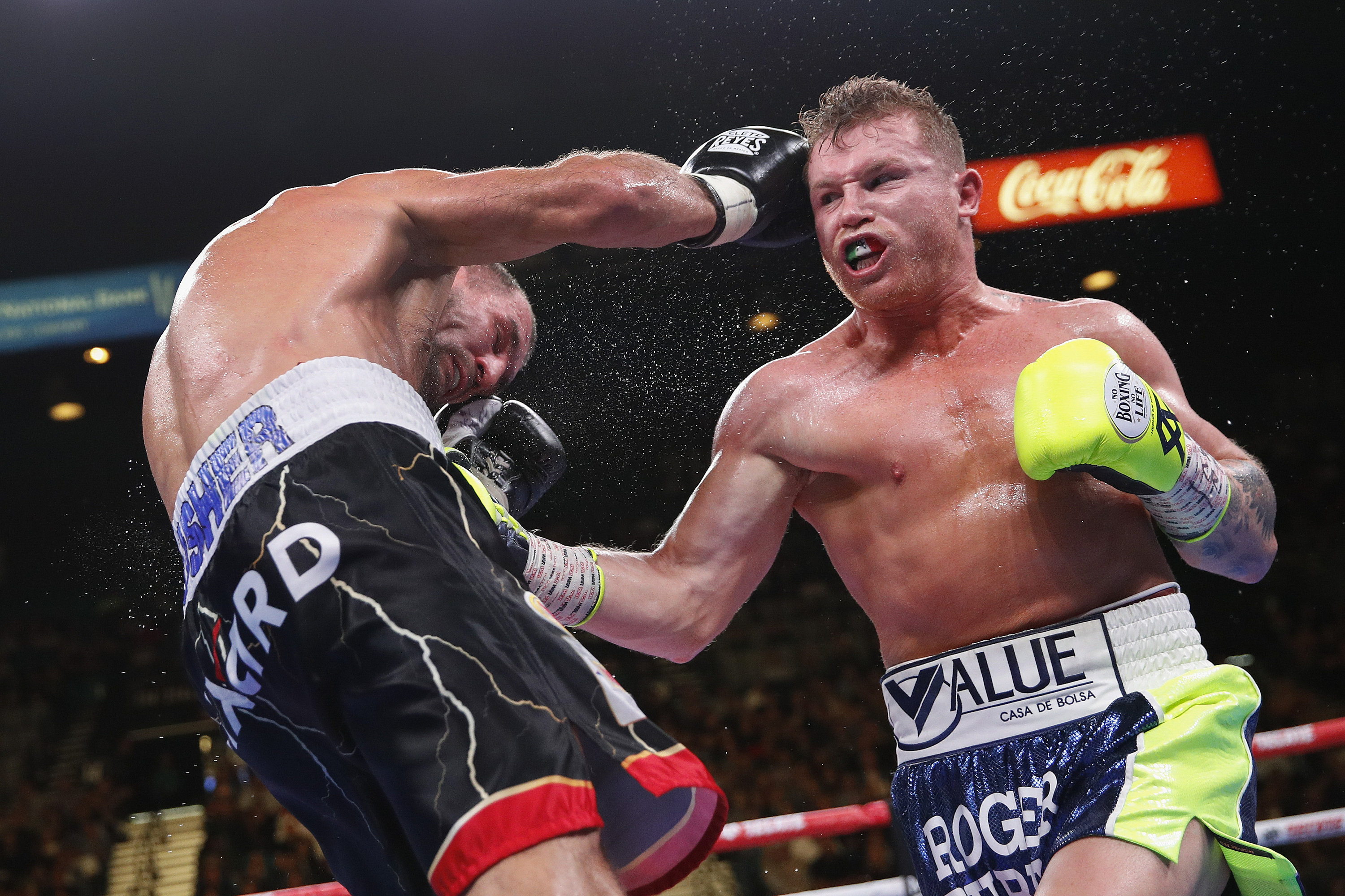 Canelo Alvarez Poster 18x12 Etsy