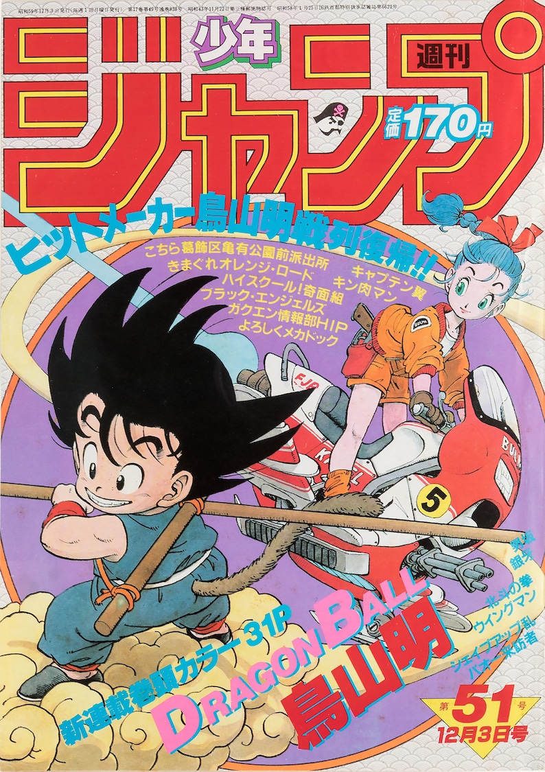 Japanese Dragon Ball Z Poster V1 12x17 - Etsy