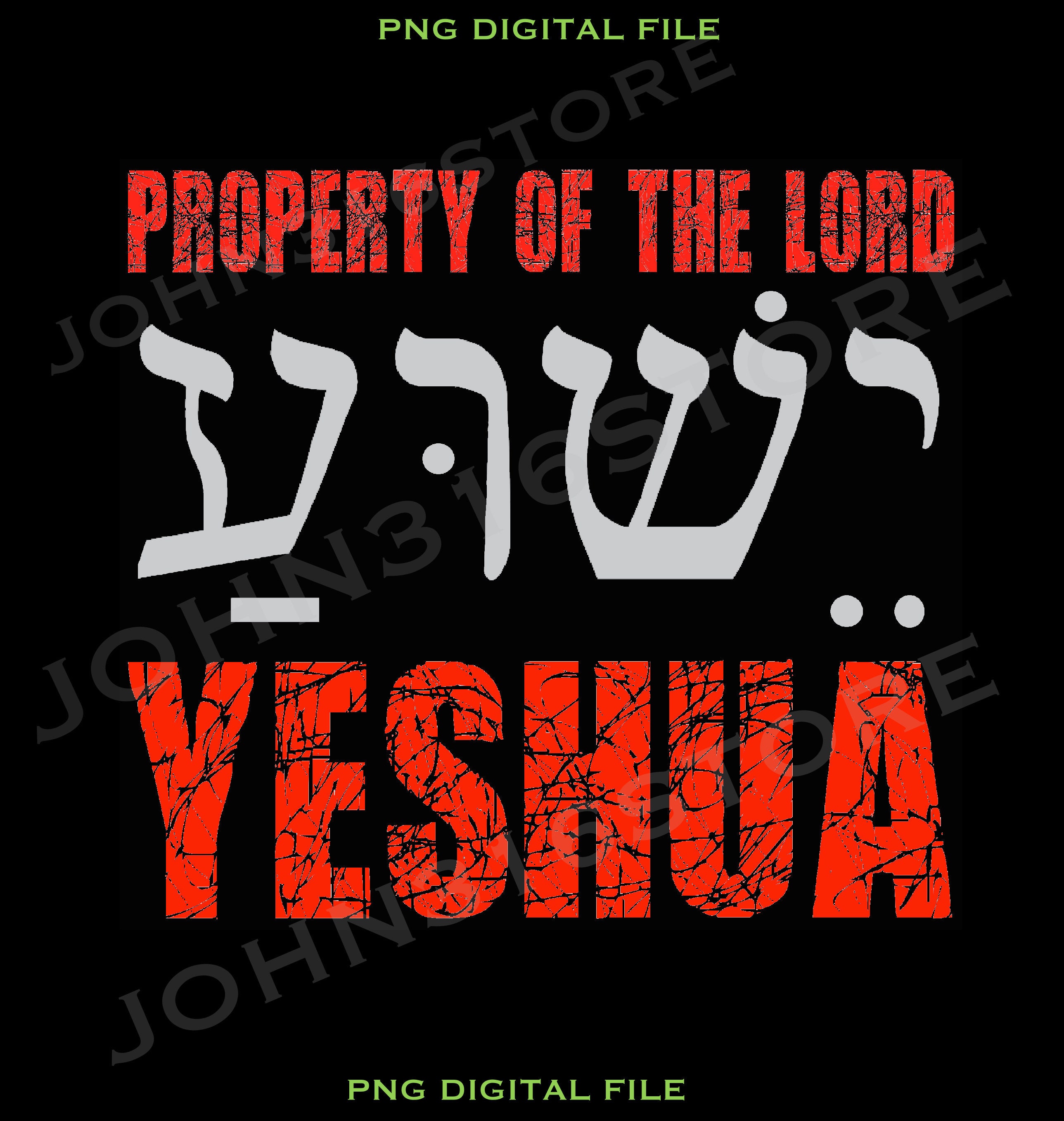 Lord Jesus Christ Yeshua Christian PNG, Christian Catholic Png, Bible ...