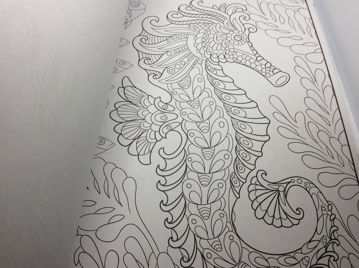 Cra-z-art Timeless Creation Coloring Book Splash of Color. - Etsy