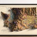 Washington Soil Map Washington 2D Relief Map Washington Soil - Etsy