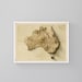 Australia Map, Australia 2D Relief Map, Australia Vintage Map ...