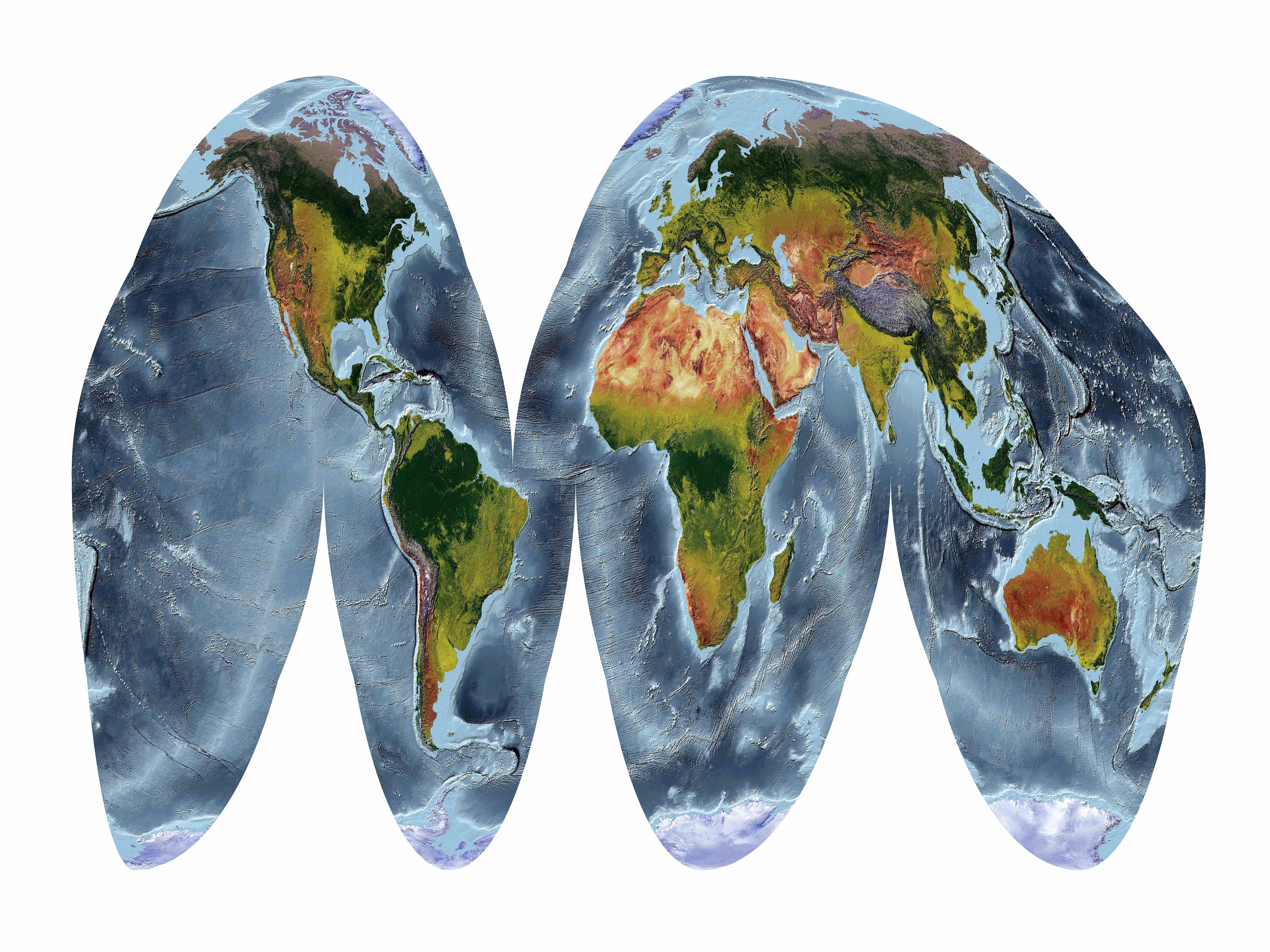 World Map Goode Homolosine Land Projection Vintage World - Etsy
