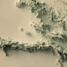 Hispaniola Island Map, Hispaniola 2D Relief Map, Haiti Gift Map ...