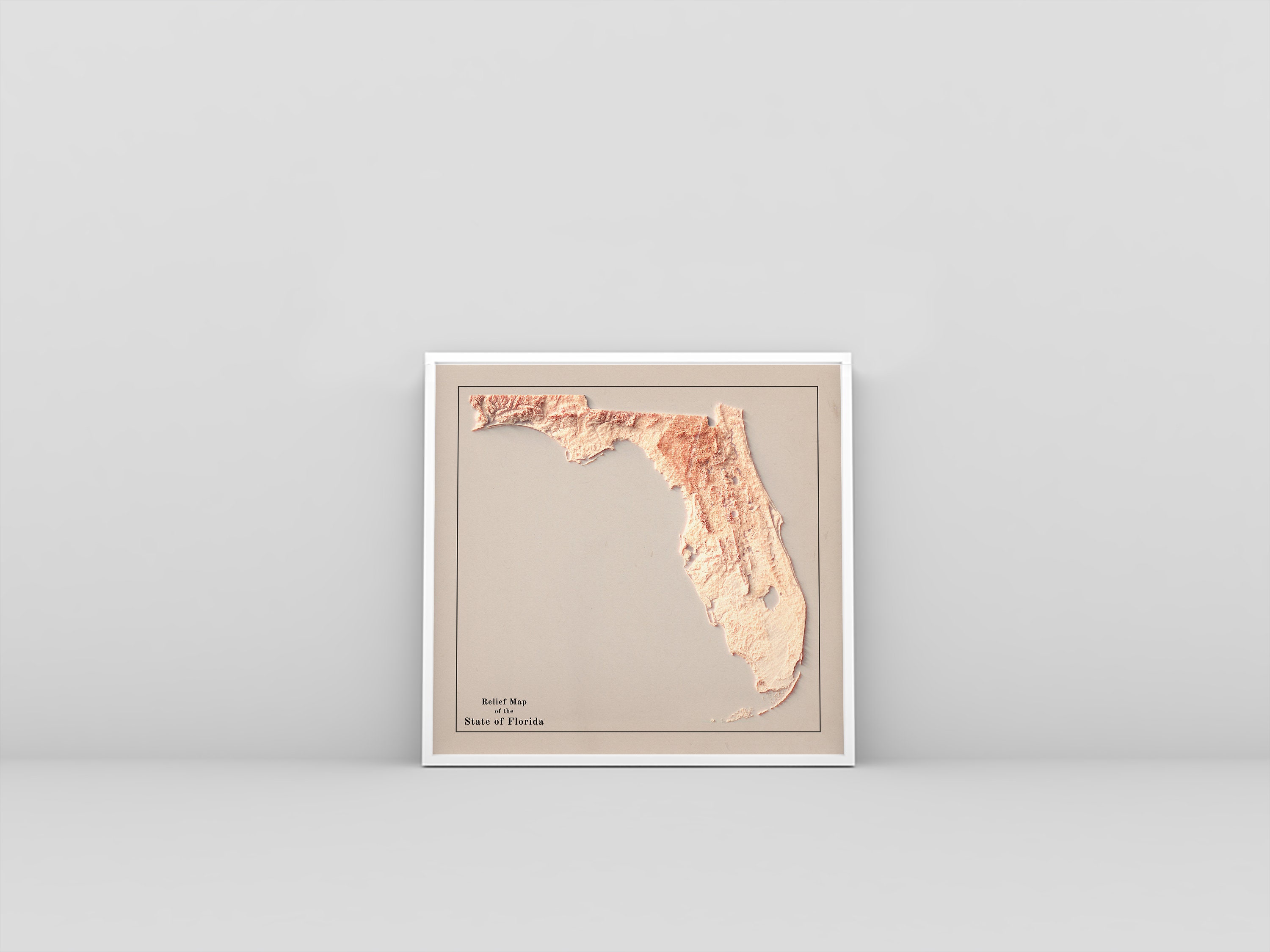 Florida Map Florida 2D Relief Map Florida Geological Map - Etsy