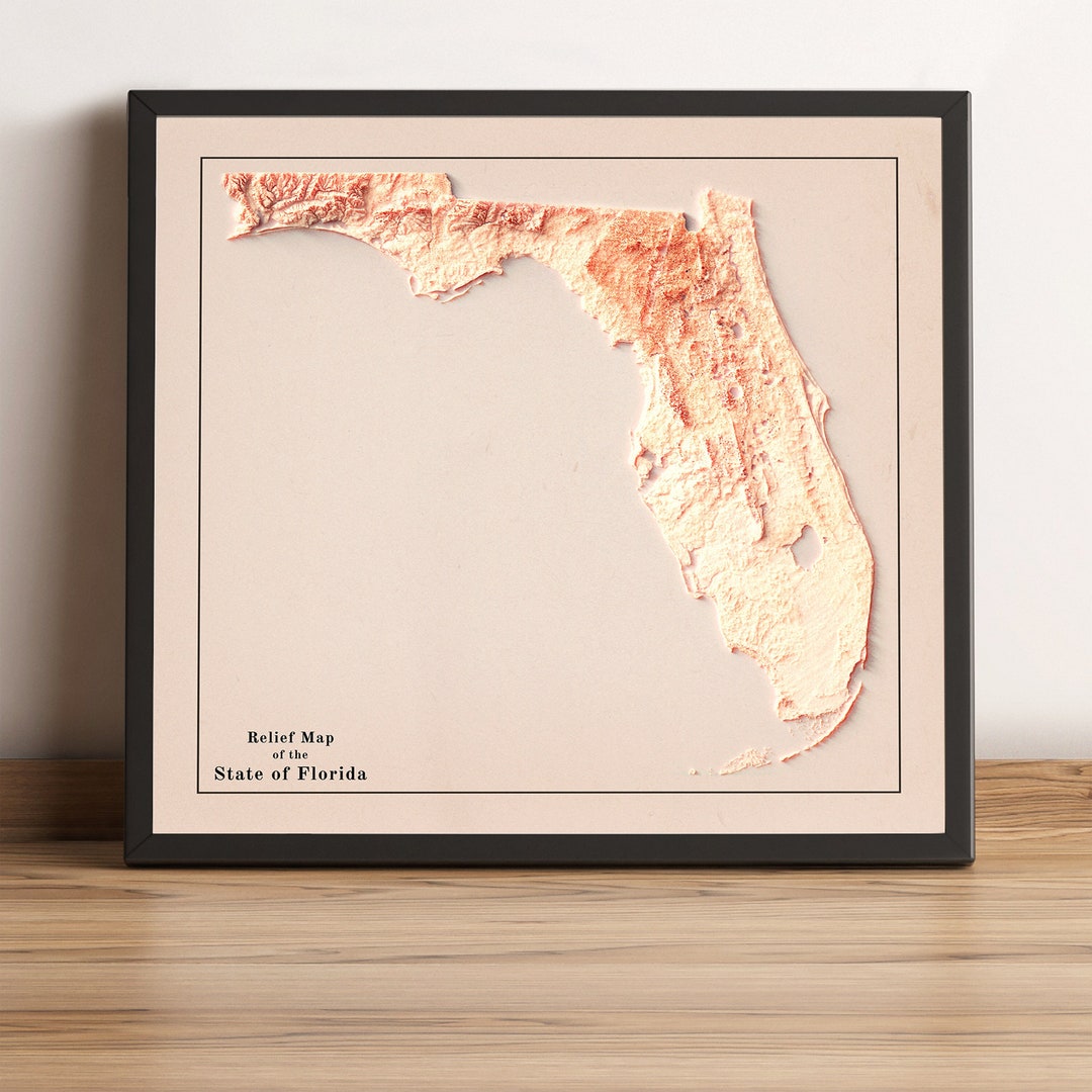 Florida Map, Florida 2D Relief Map, Florida Vintage Map, Florida ...