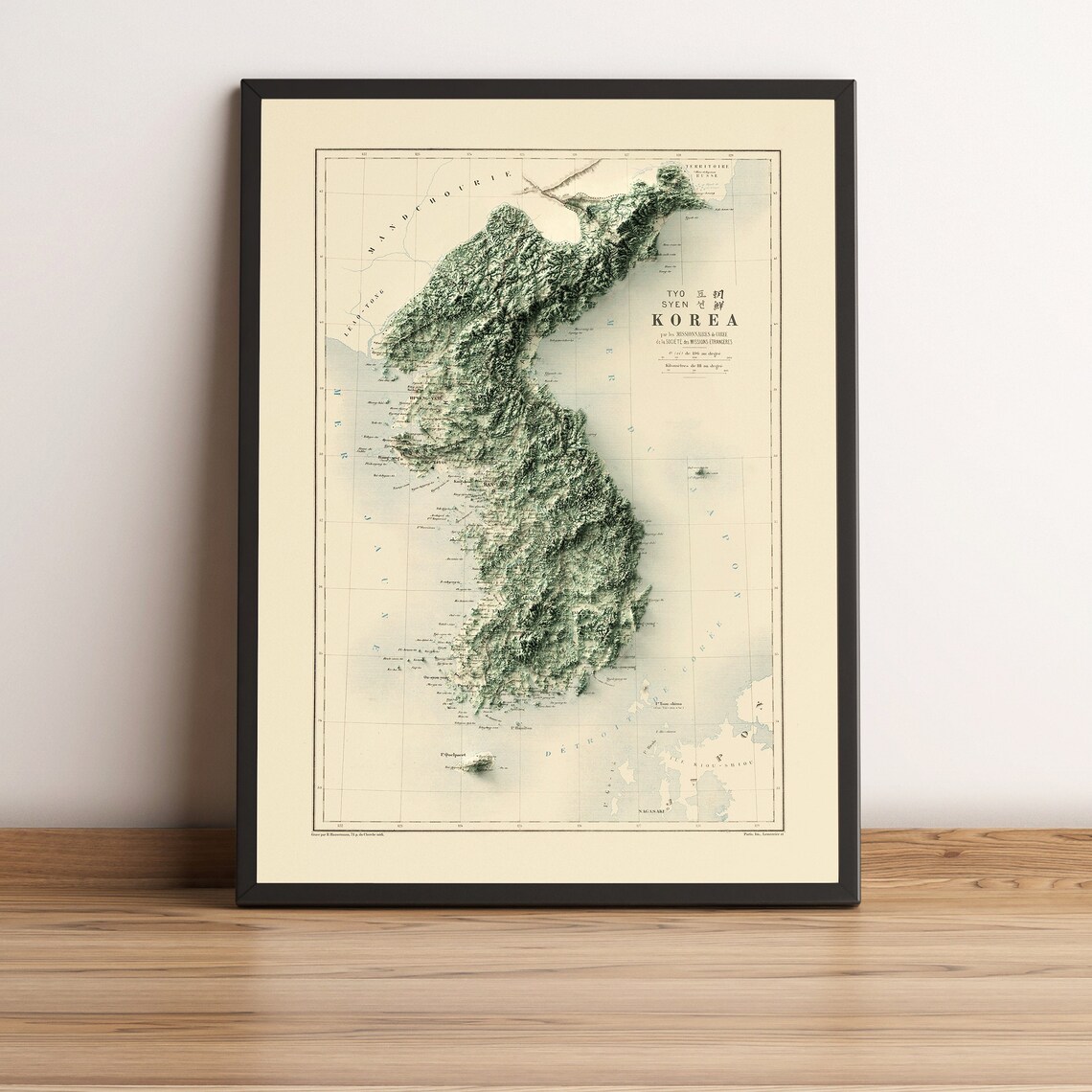 Koreas Map North and South Koreas 2D Relief Map South Korea - Etsy