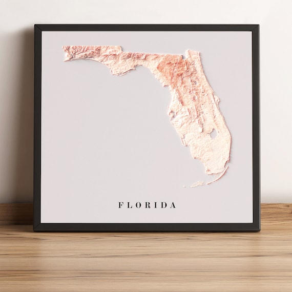 Florida Map Florida 2D Relief Map Florida Geological Map - Etsy