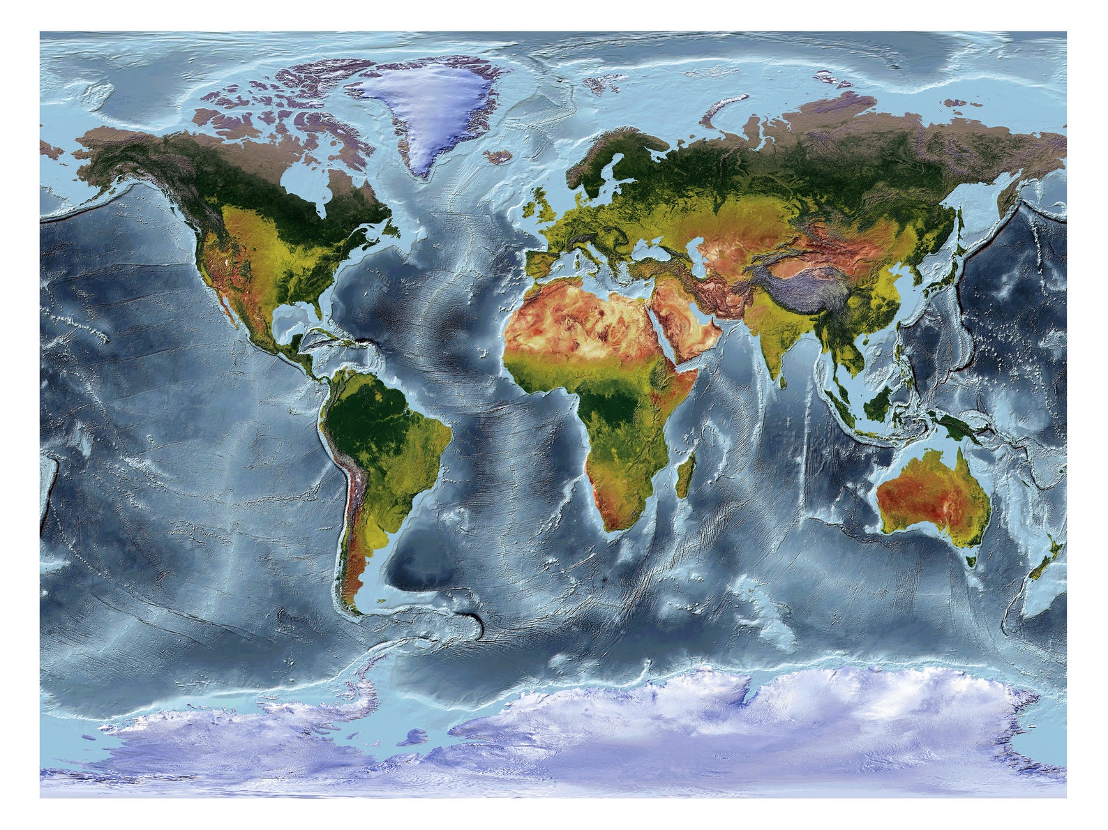 World Map Gall Stereographic Projection Map Vintage World - Etsy