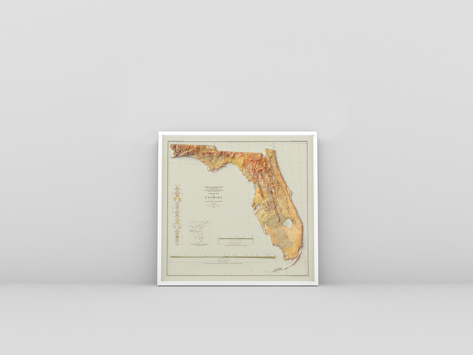 Florida Map Florida 2D Relief Map Florida Geological Map - Etsy