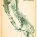 California Map California 2D Relief Map California Print - Etsy