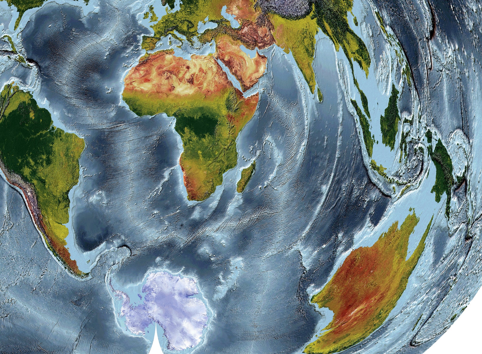 World Map Polyconic Projection Map Vintage World Map Relief - Etsy