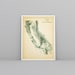 California Map California 2D Relief Map California Print - Etsy