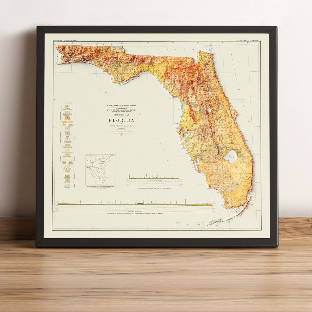 Florida Map, Florida 2D Relief Map, Florida Geological Map, Florida ...