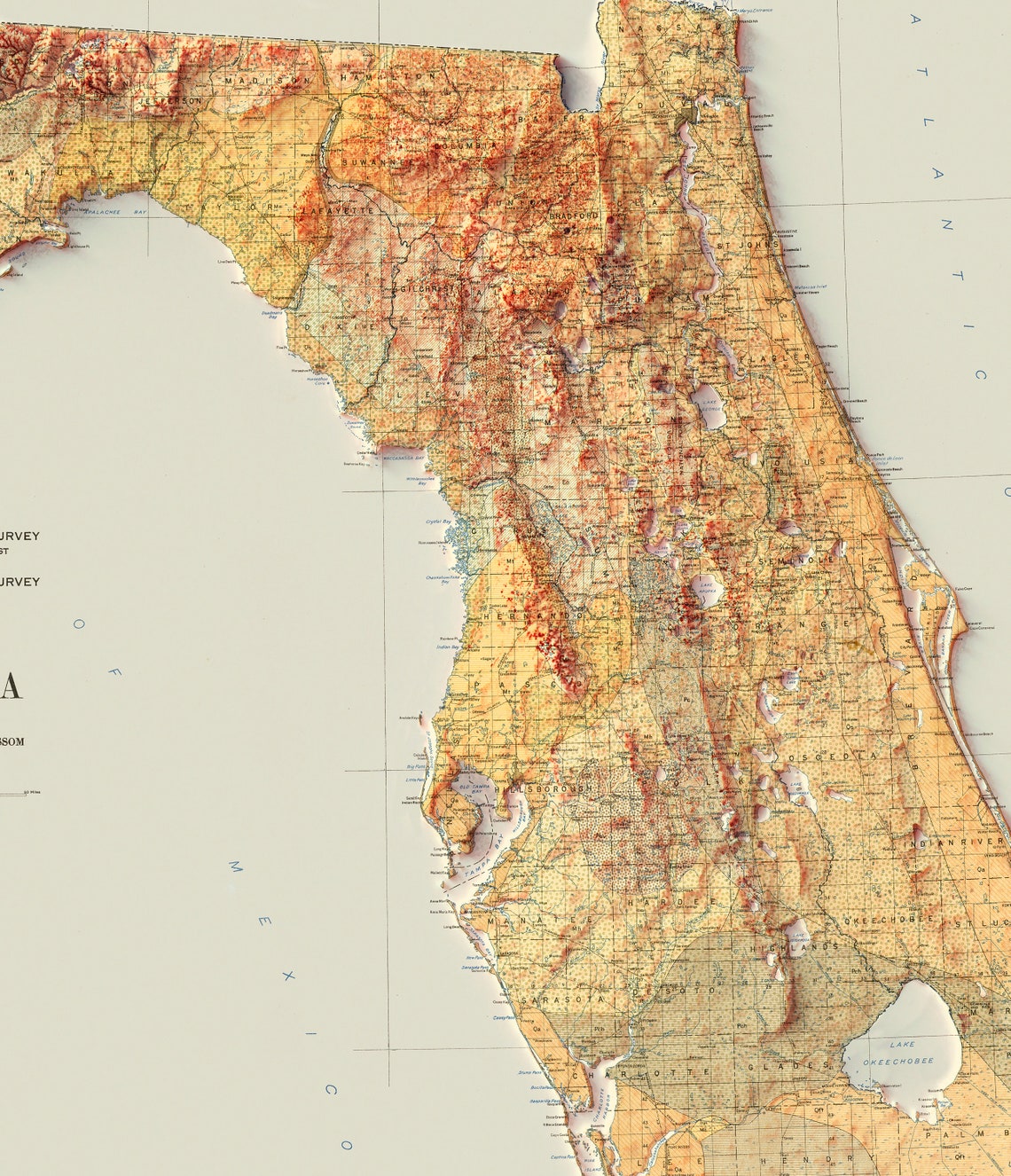 Florida Map, Florida 2D Relief Map, Florida Geological Map, Florida ...