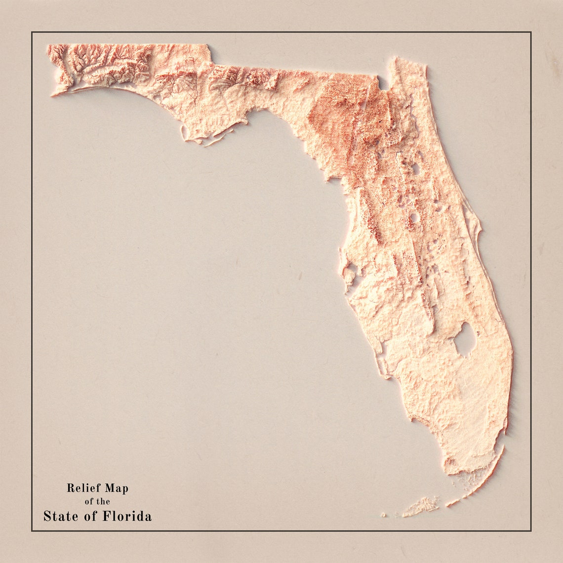 Florida Map Florida 2D Relief Map Florida Geological Map - Etsy