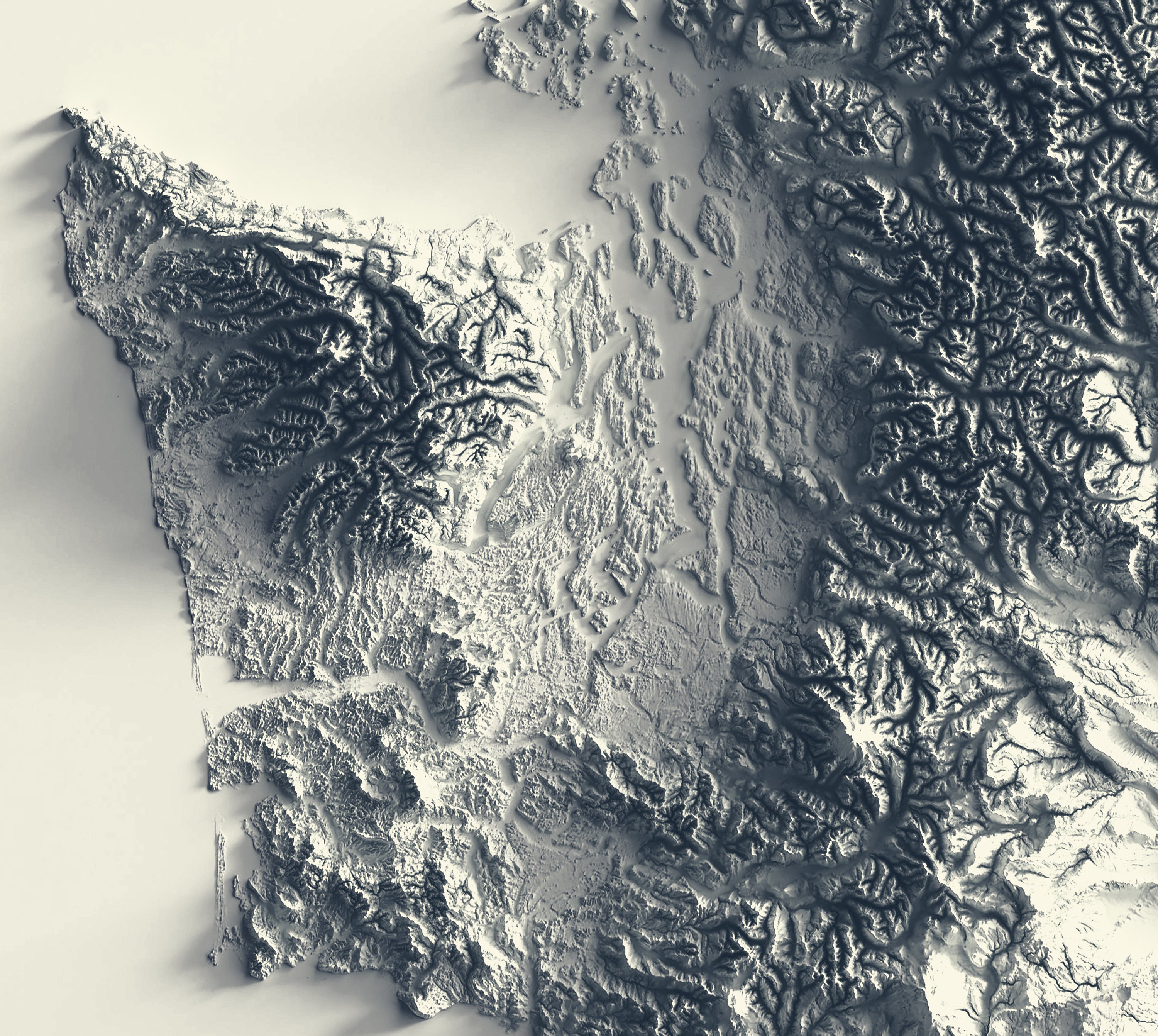 Washington Map Washington State 2D Relief Map Washington - Etsy