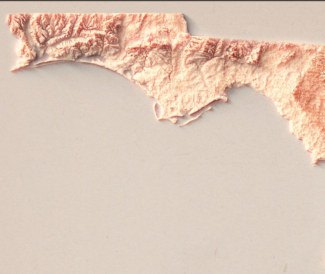 Florida Map Florida 2D Relief Map Florida Geological Map - Etsy