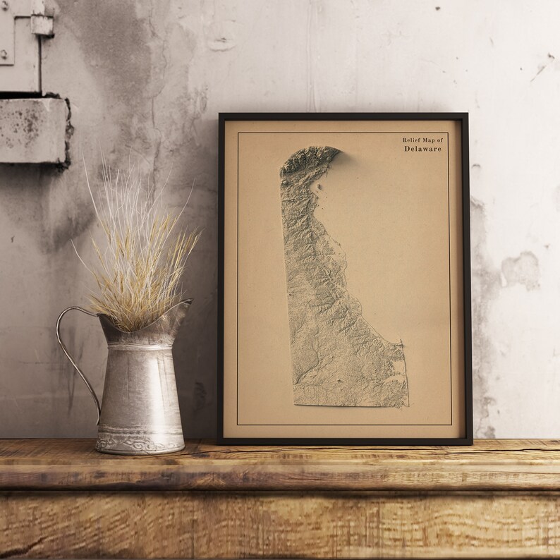 Delaware Map Delaware 2D Relief Map Delaware Framed Map - Etsy
