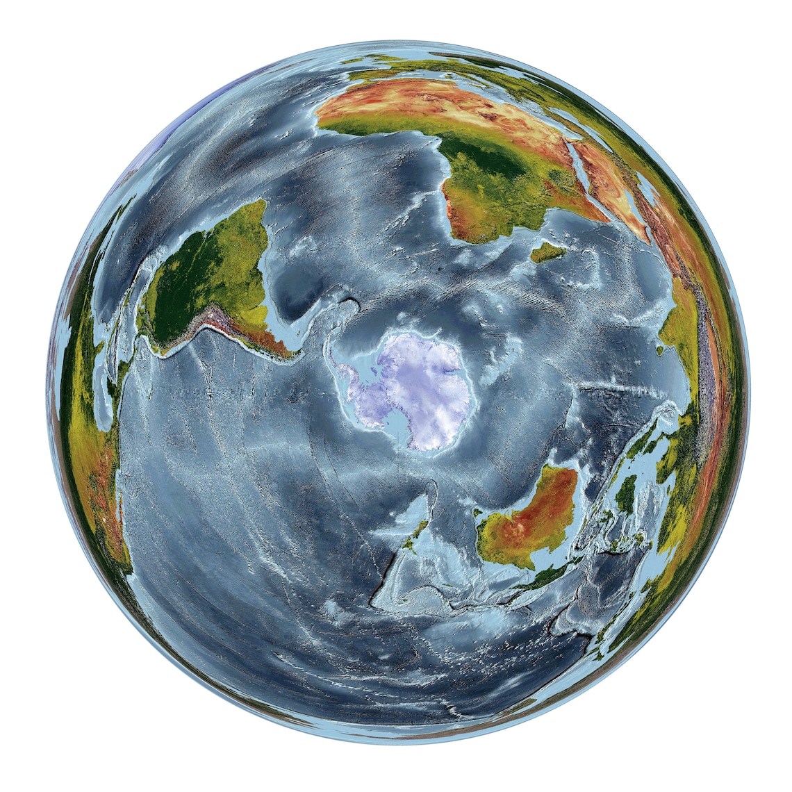 World Map WGS 1984 Grid South Projection Vintage World Map | Etsy