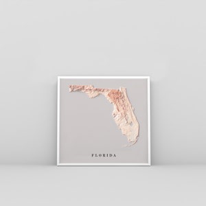 Florida Map, Florida 2D Relief Map, Florida Vintage Map, Florida ...
