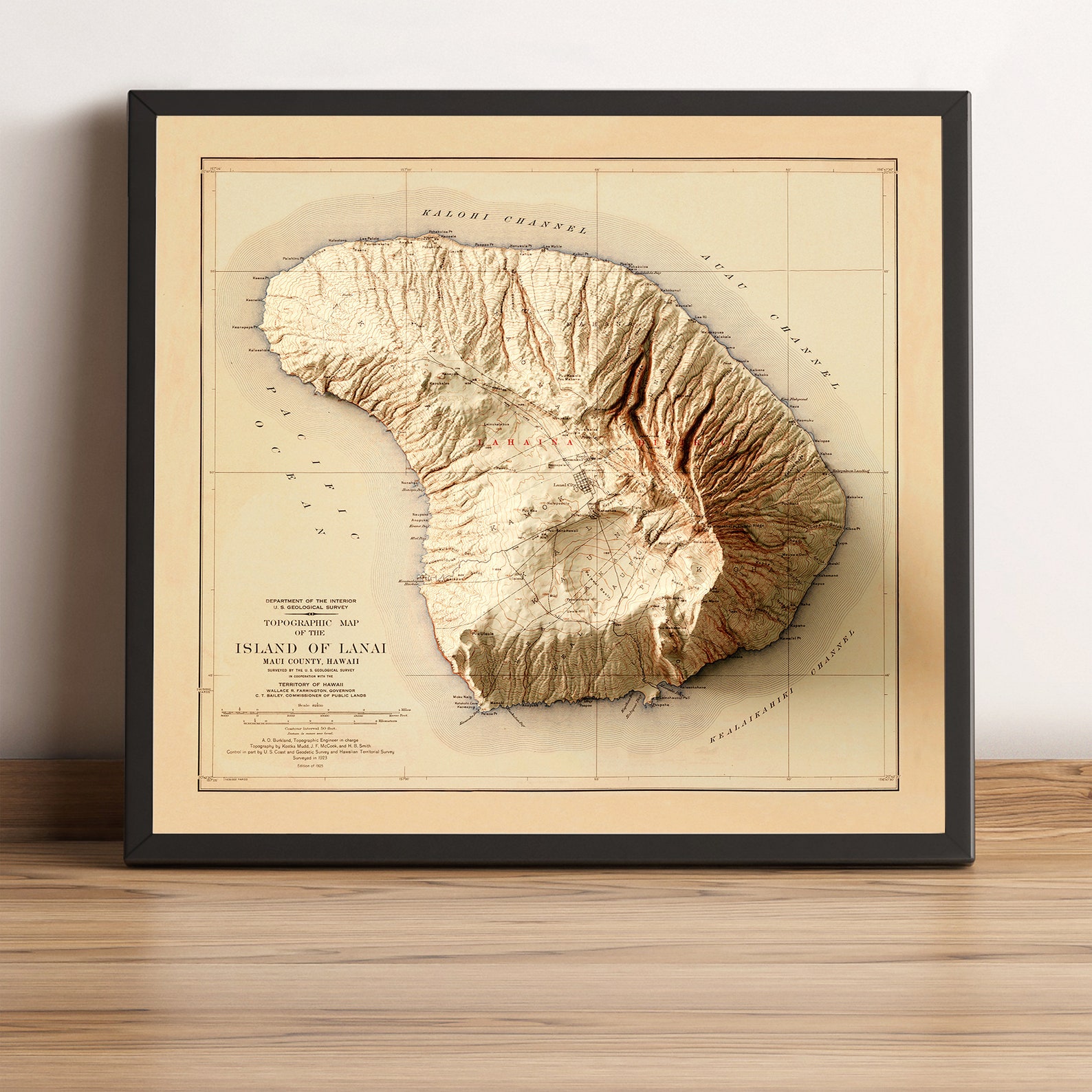 Lanai Island Map Hawaii Map Lanai 2D Relief Map Lanai - Etsy