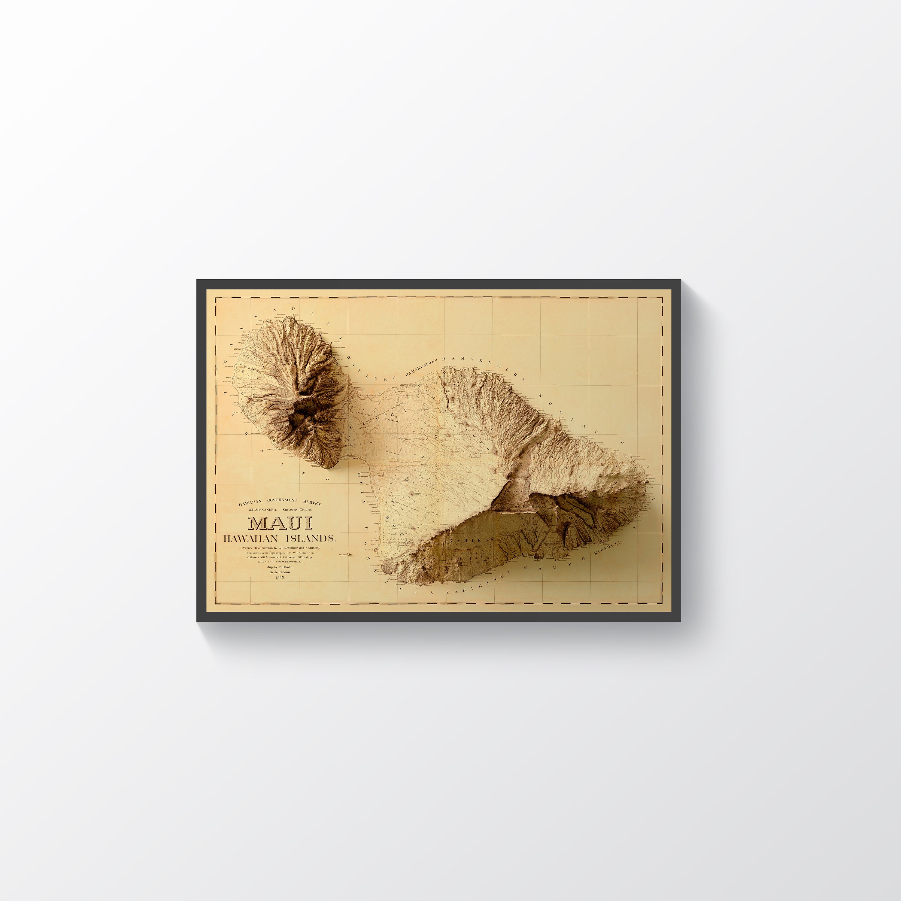 Maui Island Map, Hawaii Map, Maui 2D Relief Map, Maui Vintage Map ...