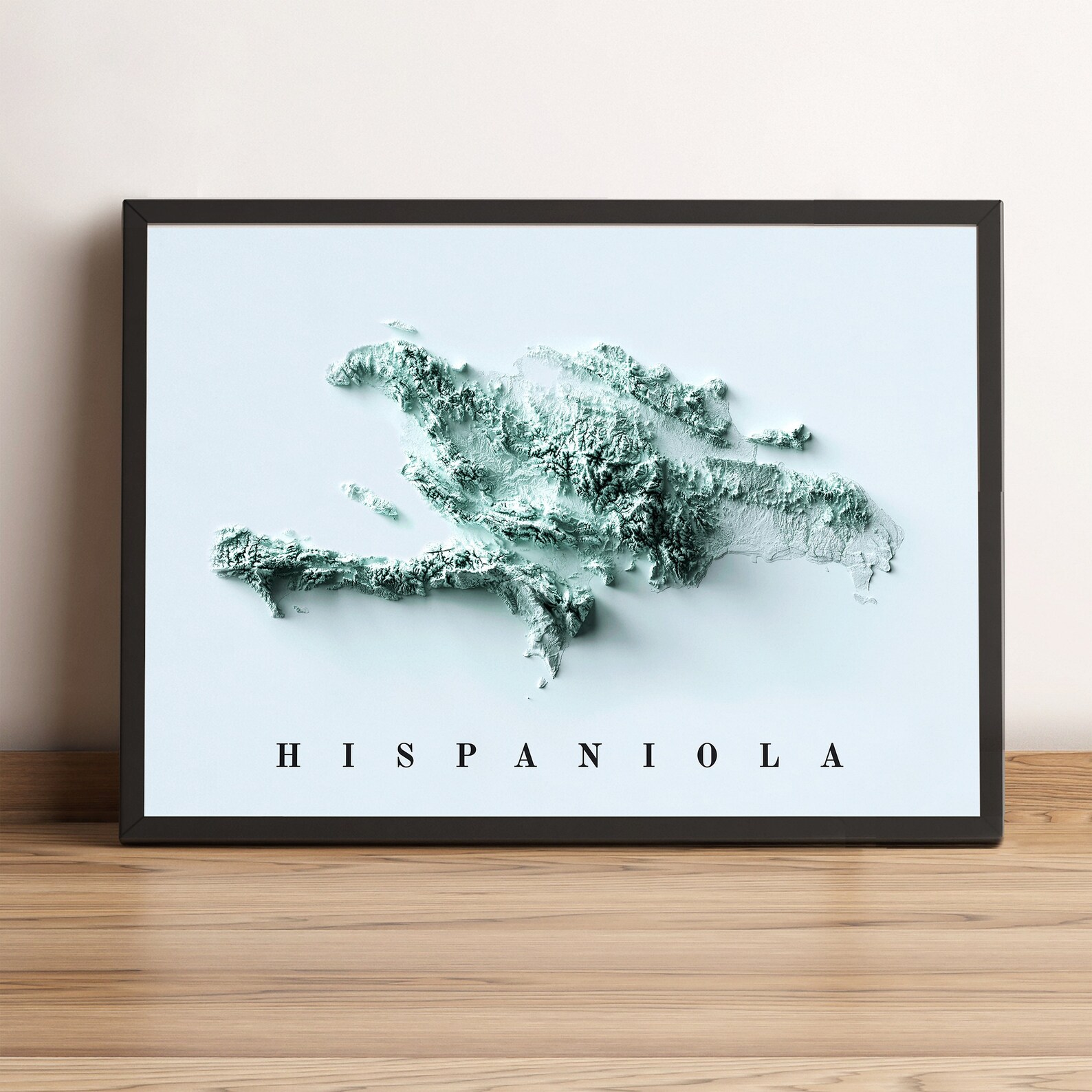 Hispaniola Island Map, Hispaniola 2D Relief Map, Haiti Gift Map ...